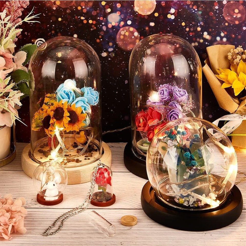 NBEADS 10 Sets Mini Eternal Flower Glass Dome Cloche, Clear Display... | eBay