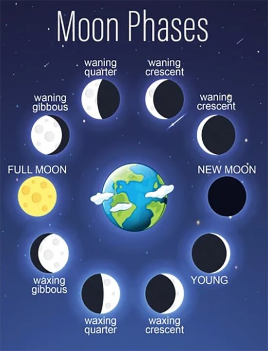 NEW (LAMINATED) Moon Phases (61X91CM) Educational CHART PICTURE PRINT ...