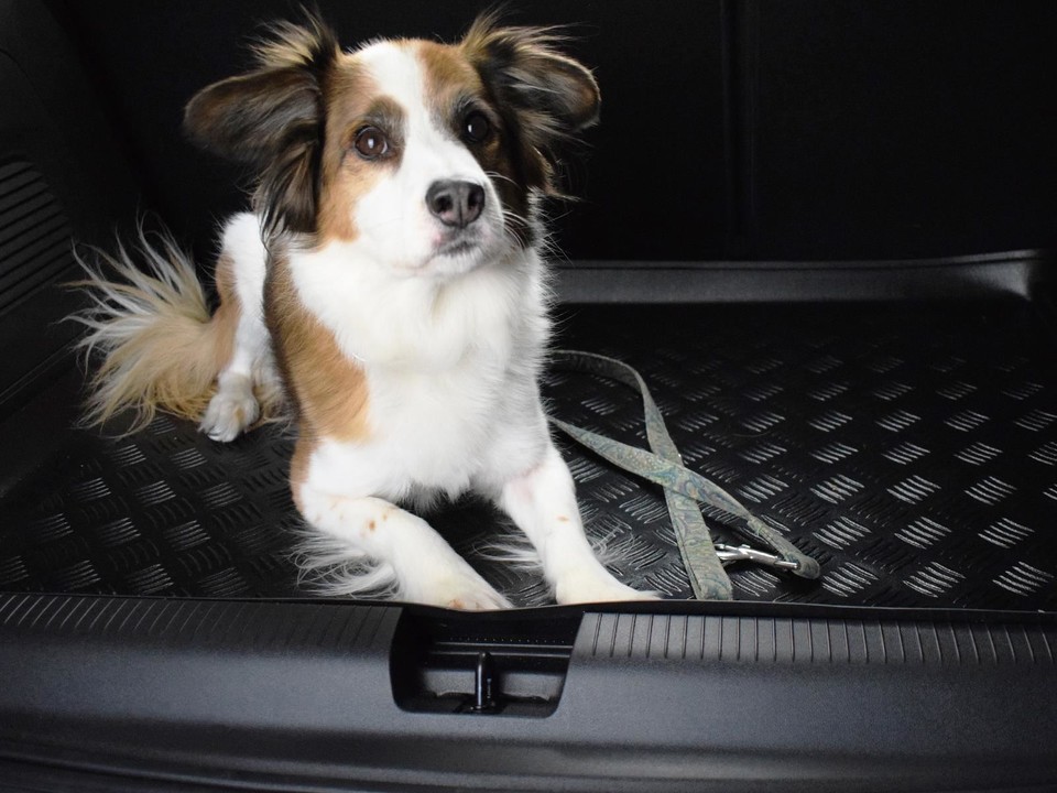 NOMAD Boot Liner for Volvo XC60 2008-17 Tailored Car Floor Mat Guard ...