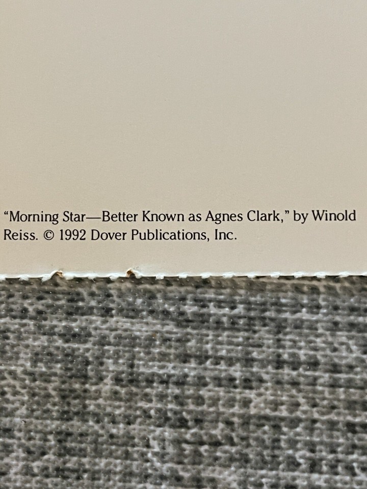 POSTCARD- NORTH AMERICAN INDIAN PORTRAIT- MORNING STAR, AKA AGNES CLARK ...