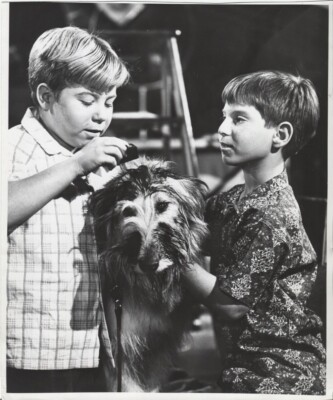 1962 Press Photo Actors Stanley Livingston & Ricky Allen "My Three Sons ...