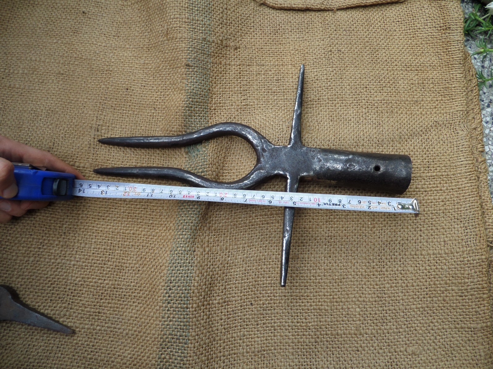 ANTIQUE ROOT PULLER BEET EXTRACTING TOOL DIGGING BEETROOT VINTAGE HAND ...