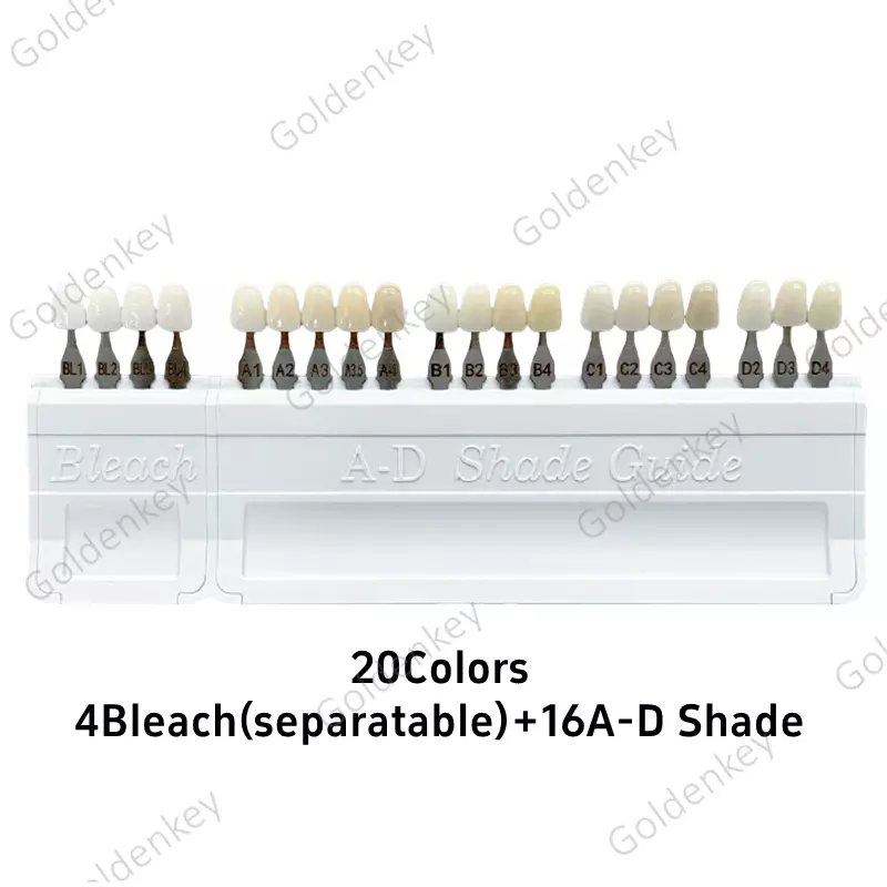 Difference Between A1 And B1 Tooth Color Code - Infoupdate.org