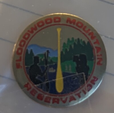 Vintage Boy Scout Bolo Tie Metal Sticker Floodwood Mt Reservation River ...