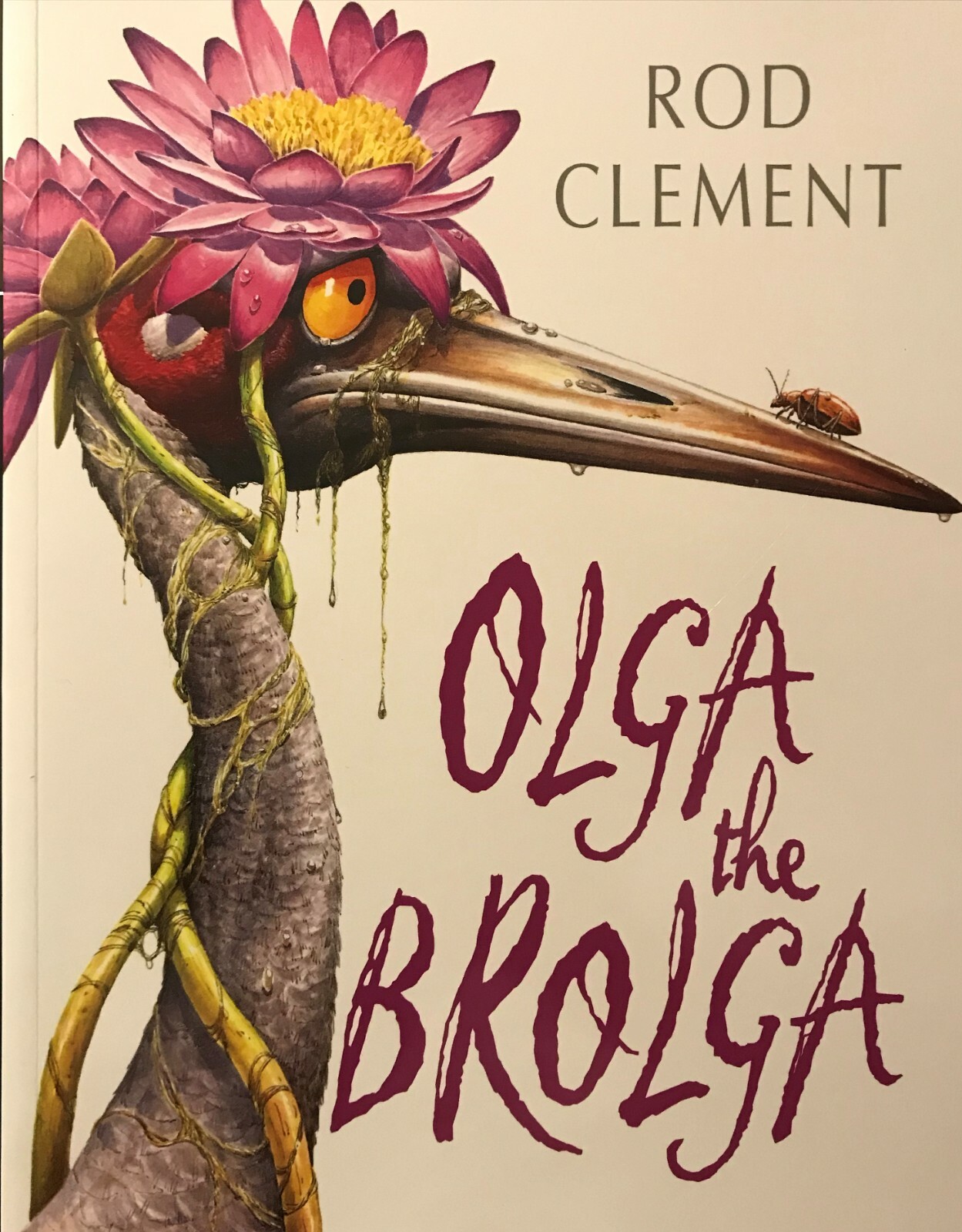 Olga the Brolga by Rod Clement (Paperback, 2019) for sale online | eBay