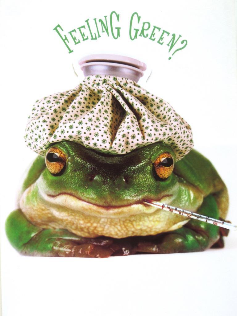 Get Well Soon Frog