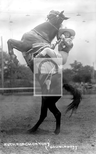 Ruth Roach Cowgirl On Tony Horse Rodeo - Reprint | eBay