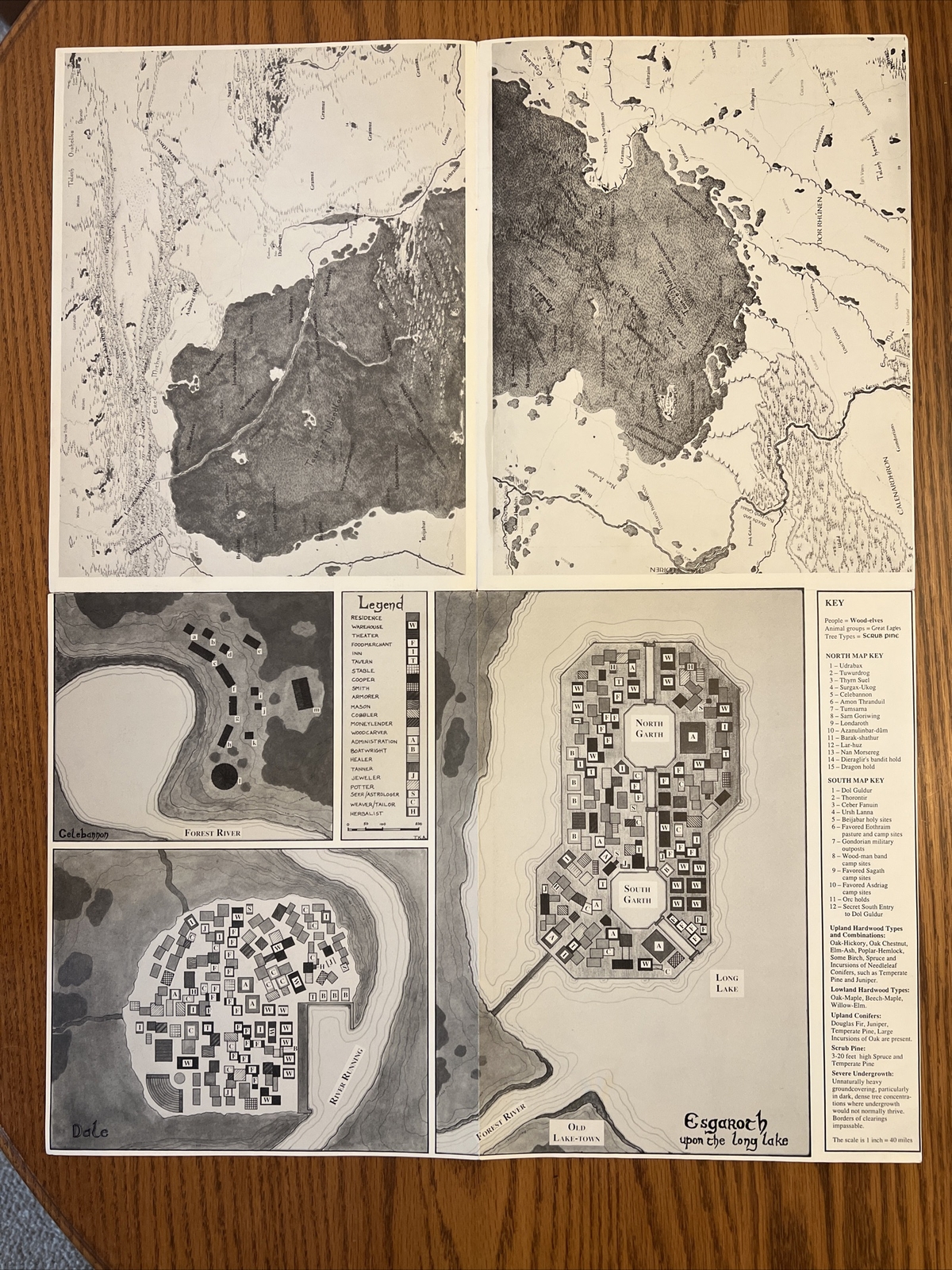 MAP from MERP Module: Northern Mirkwood, The Wood Elves Realm | eBay