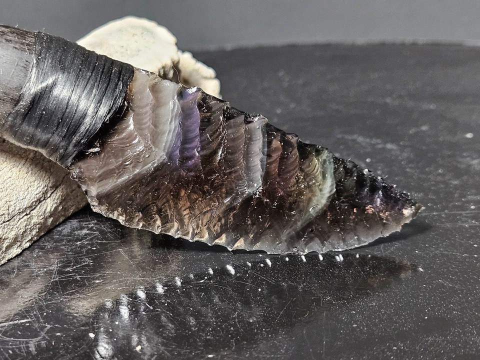 Sweet Dragon Claw Obsidian Knife~Springbok~HIGH QUALITY GIFTS~Talented ...