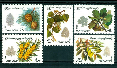 Russia 1980 Nature protection,tree seeds,swiss pine,English oak, ash,Mi ...