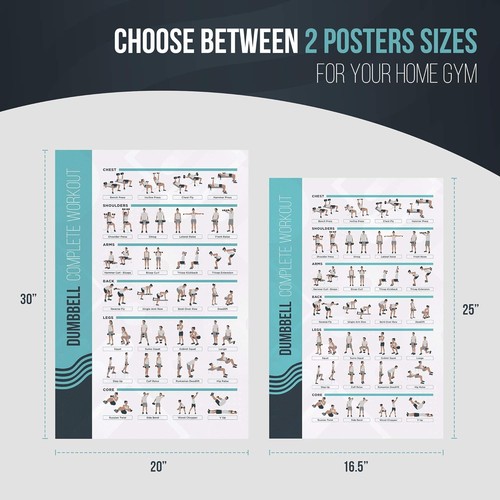 Dumbbell Workout Exercise Poster - Workout Routine with Free Weights ...