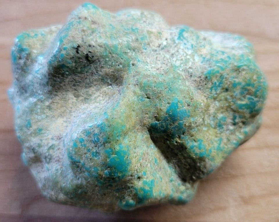 Rare Hard 192 gram Pilot Mtn. NV Big Turquoise Pseudomorph Clam ...