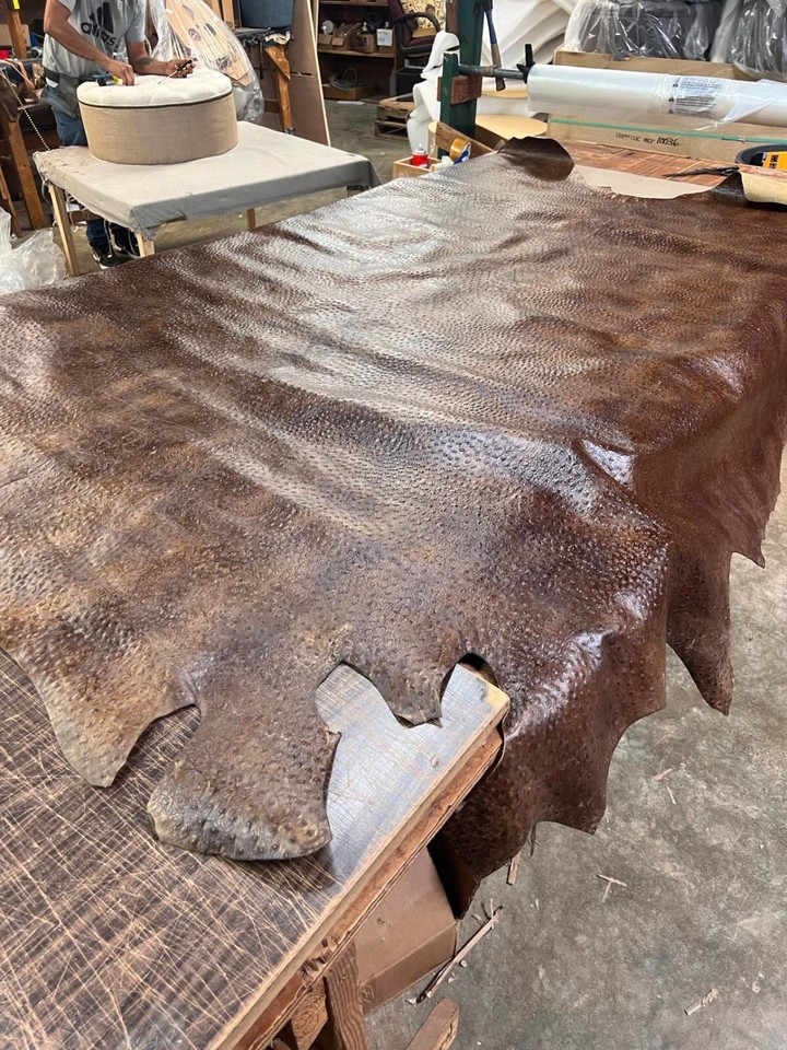 Ostrich Embossed Leather Hide Upholstery Whole Full Cow Hide 50 Square ...