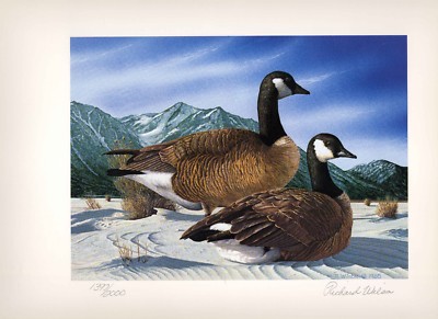 NEVADA #7 1985 STATE DUCK STAMP PRINTCANADA GEESE by Richard Wilson ...