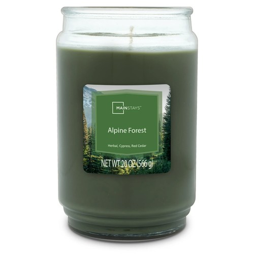 Mainstays Alpine Forest Scented Single-Wick Glass Jar Candle, 20 oz | eBay