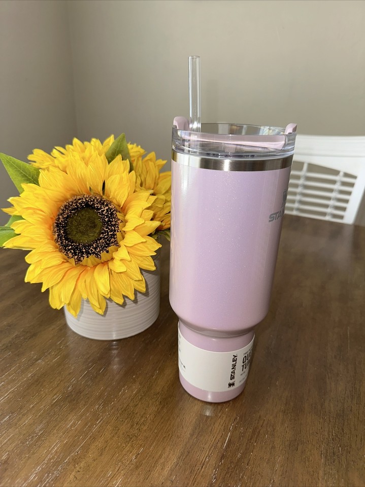 New Target Exclusive Stanley 40oz Aster | eBay