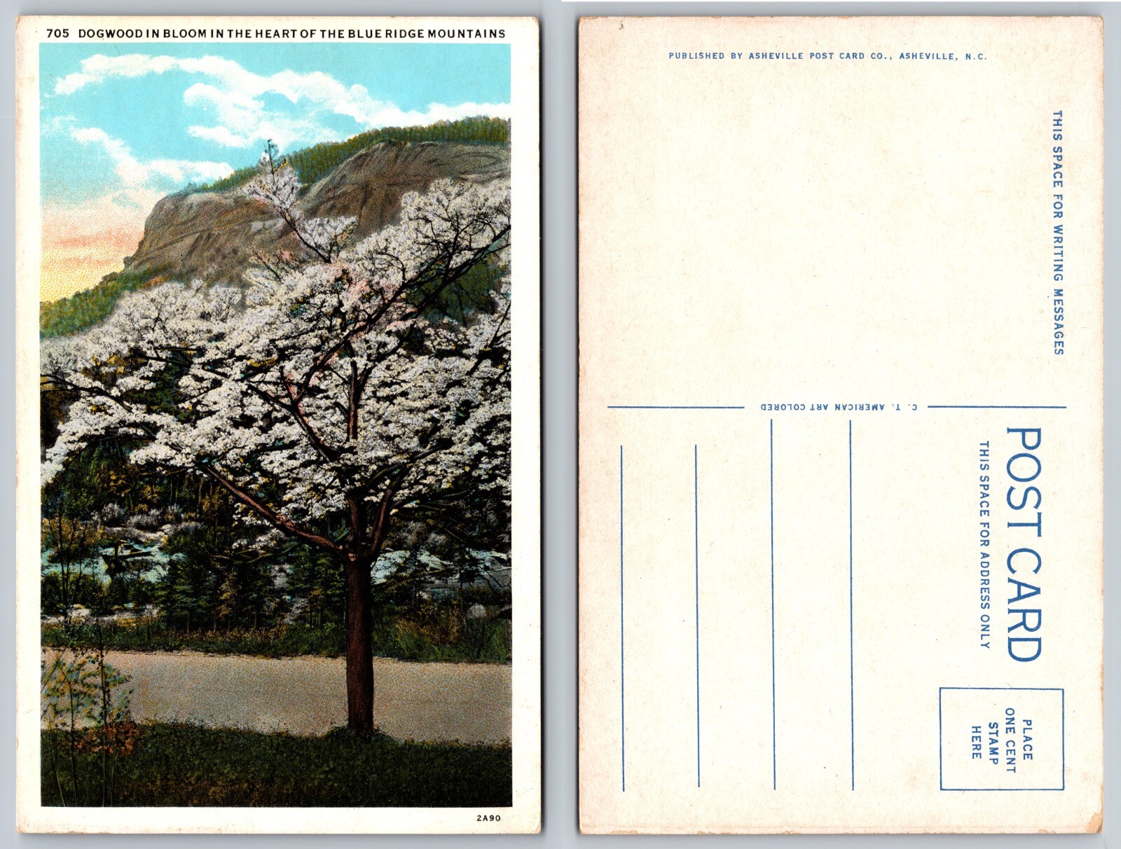 Dogwood in Bloom Blue Ridge Mountains North Carolina NC Scenic Postcard ...