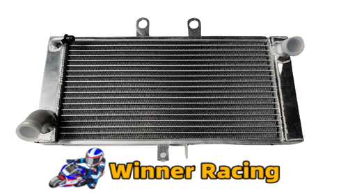 Aluminum Radiator Fit SUZUKI BANDIT GSF1250S 2007-2014 | eBay