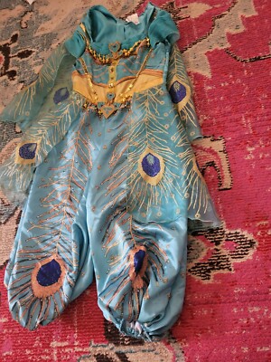 Disney XS 3 4 Disney Aladdin costume live action movie Jasmine peacock ...