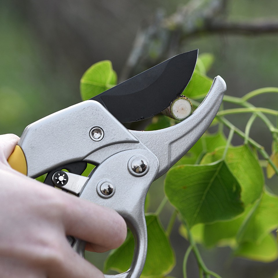 Secateurs Steel Pruning Shears with Ergonomic Handles Gardening K9V9 | eBay