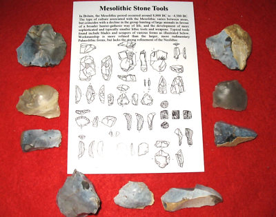 Mesolithic Stone Tools