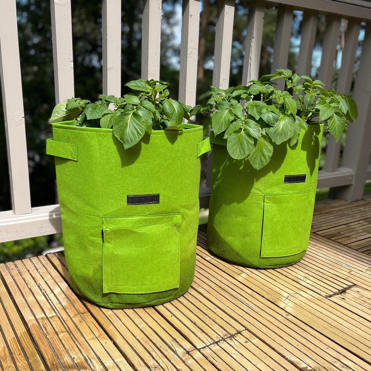 Pot In Pot Growing Potato Container
