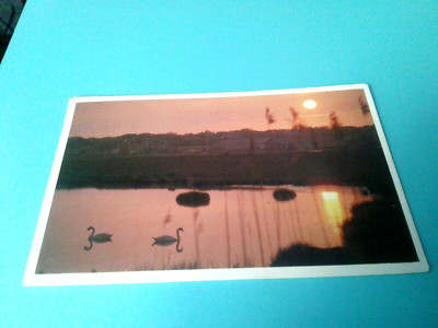 CAPE COD: NANTUCKET ISLAND MASSACHUSETTS - OLDE CARD | eBay