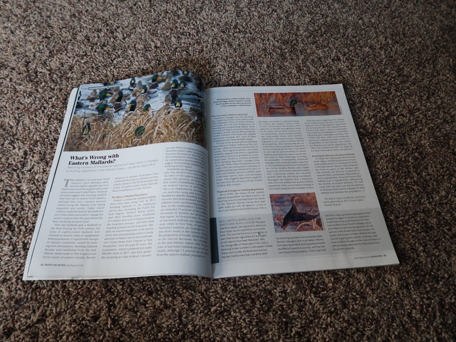 📌 LOT of 3 vintage Ducks Unlimited bird hunting magazines mallards guns ...