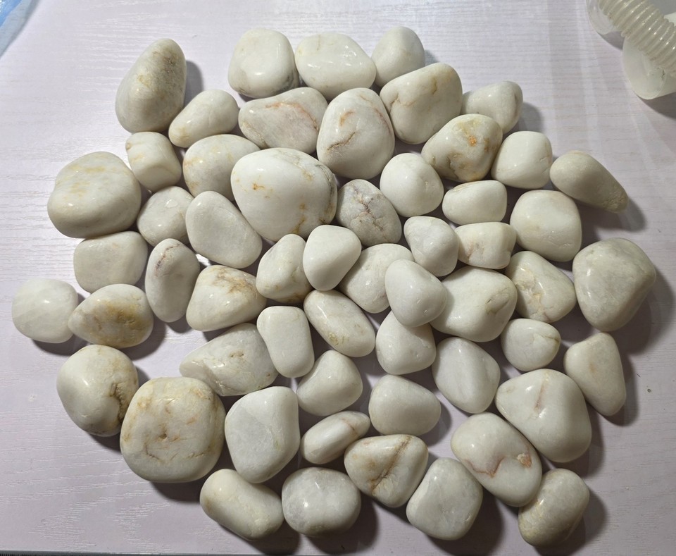 Biorb Halo White 60 L, Used | eBay UK