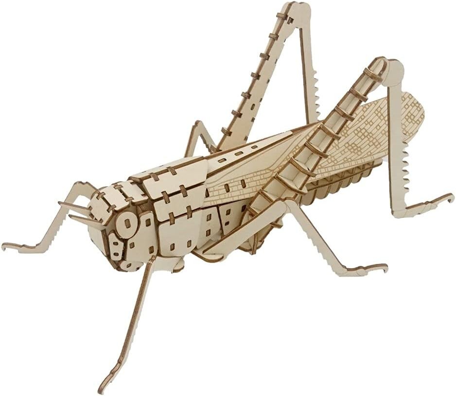 Tsukurun-desu® Japan Official Sales, Pocket Bugs, (Tonosama Grasshopper ...