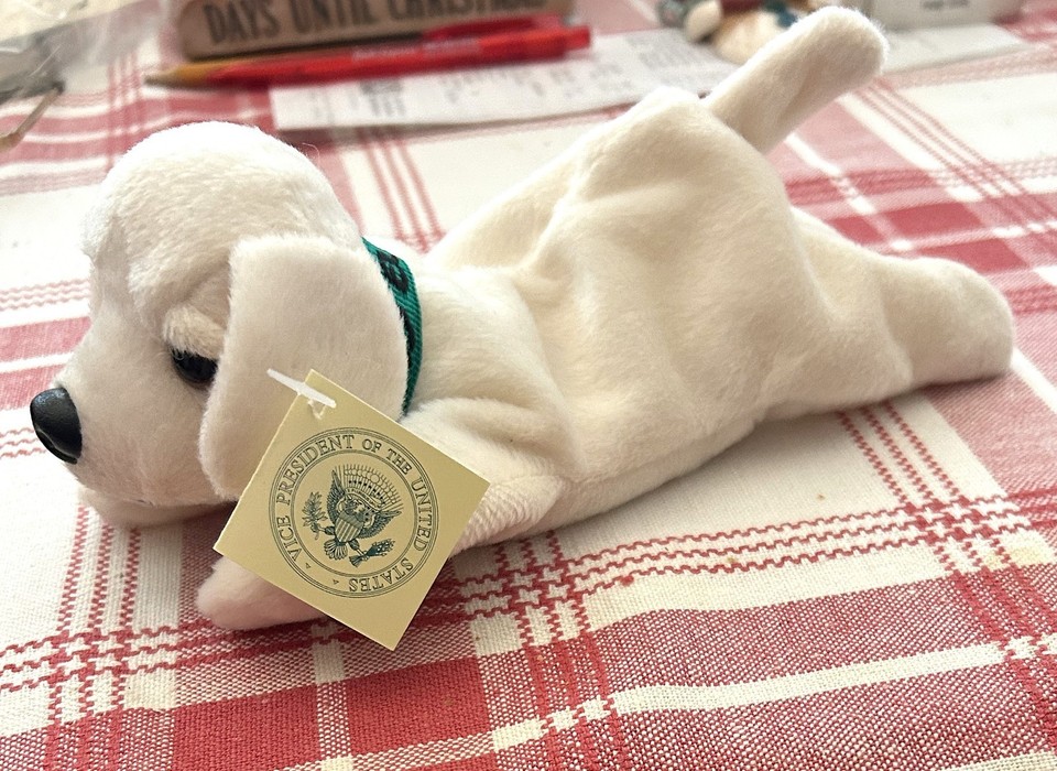 Vice President Dick Cheney's DAVE Dog White House Puppy GIFT VPR | eBay