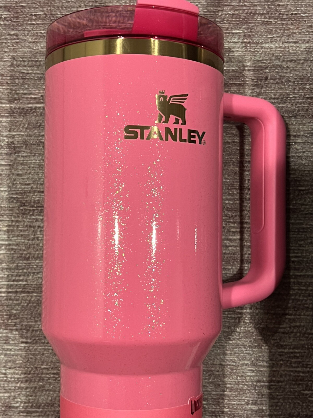 Stanley X Wicked 40oz Tumbler Target Exclusive Bundle Set Elphaba ...