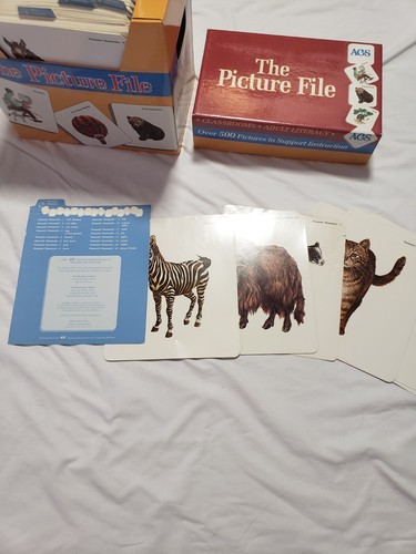 LOT of 163 Kids Books (Stories, Educational) & 1 Box of Picture Cards ...