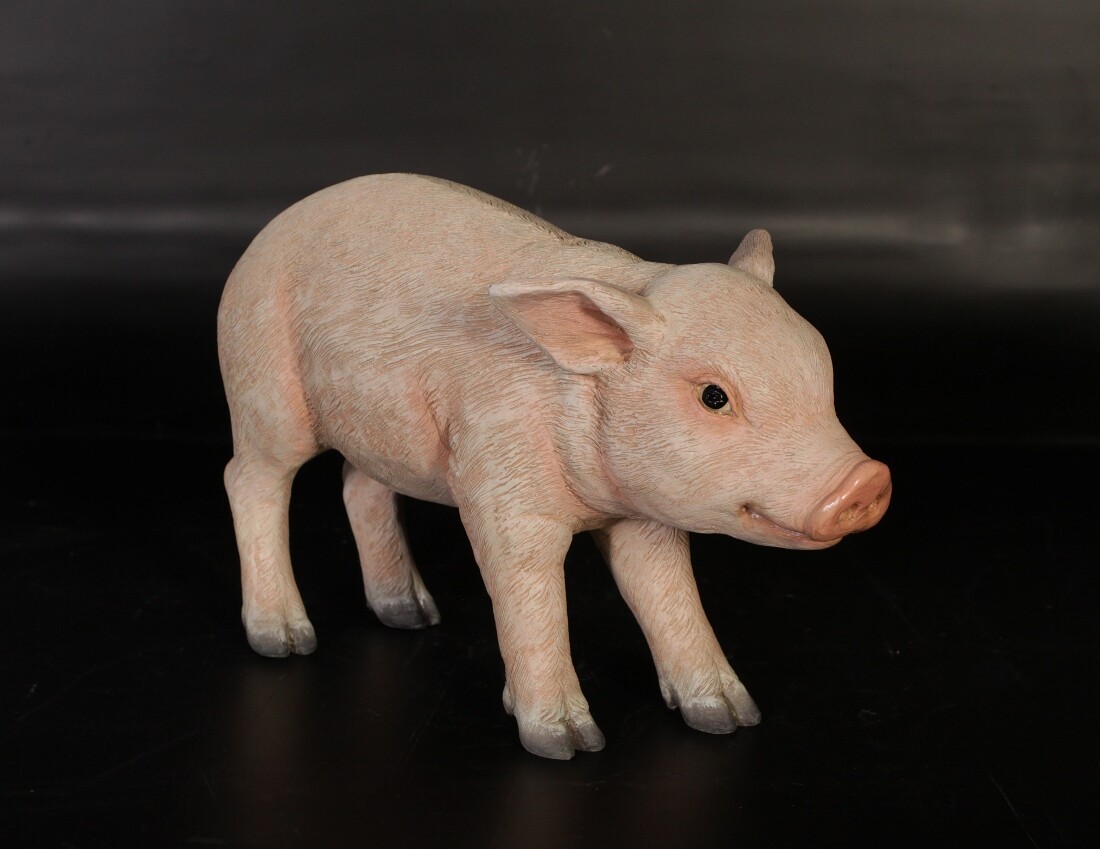 Newborn Pig Piglet Standing Pink Farm Animal Prop Display Prop ...
