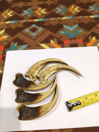Grizzly Bear Claw, Replica, 4.5 Inches, 5 Pcs | eBay