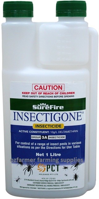 SureFire Insectigone Residual Insect Spray Insecticide 250ml for sale ...