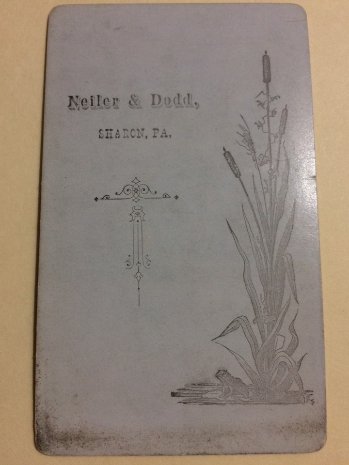 CDV Woman w/ Elaborate Lace Collar & Jewelry by Neiler & Dodd, Sharon ...