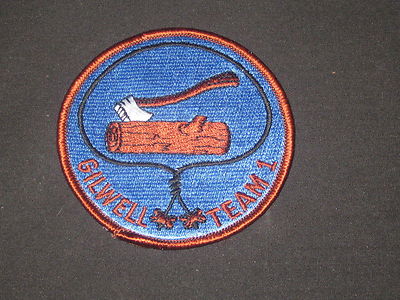 Wood Badge Gilwell Team 1 Axe in Log Patch | eBay