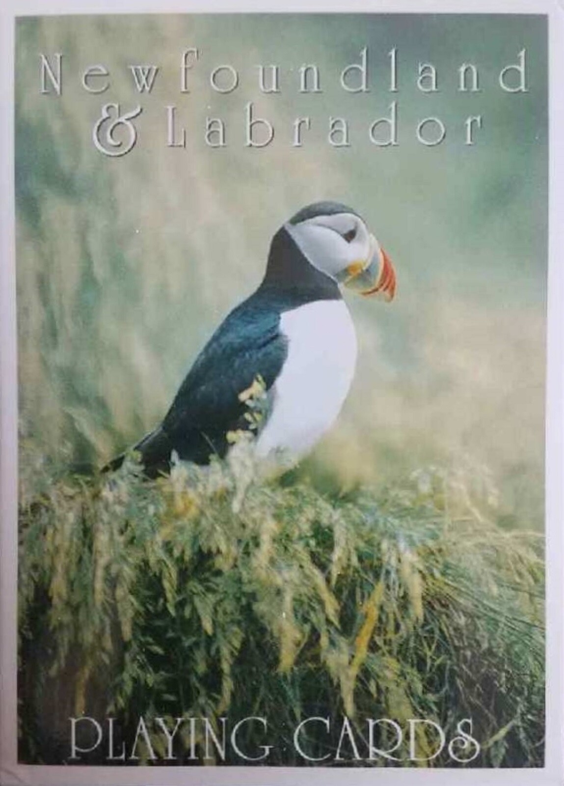 Newfoundland and Labrador with Bird Souvenir Playing Cards | eBay
