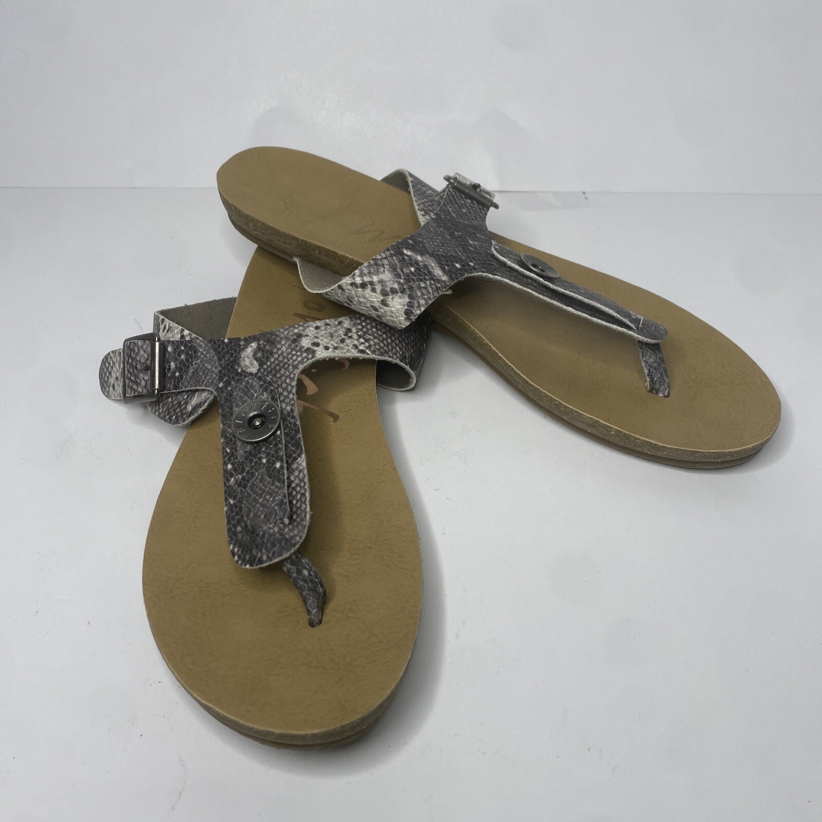 Blowfish Malibu Women’s Size 7.5 Snake Skin Buckle Thong Flip Flop ...