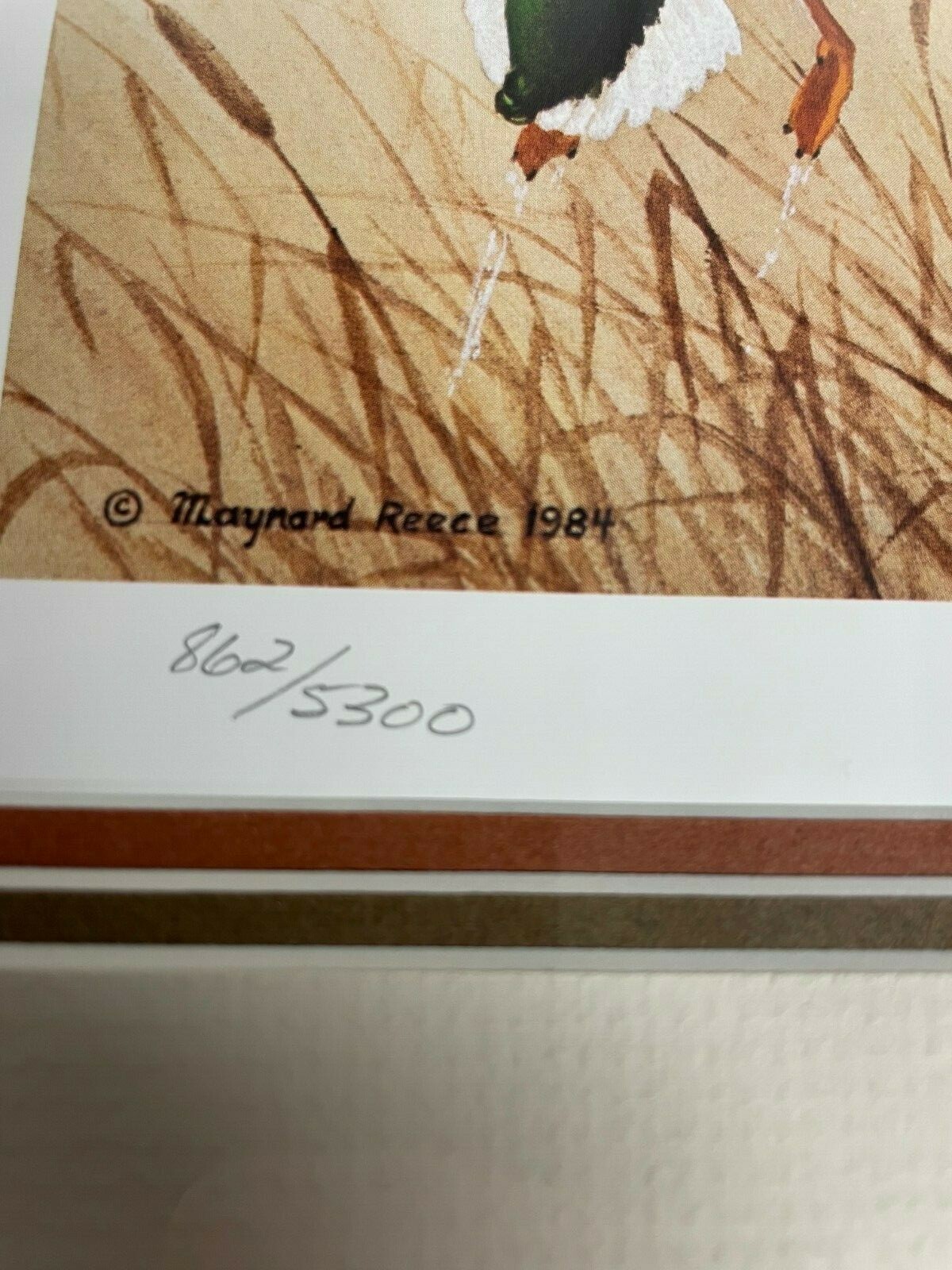 DUCKS UNLIMITED - 1985 Signed LE Maynard Reece Duck Print & DU Stamp ...