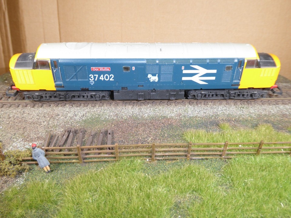 Lima 00 Gauge BR Class 37 Diesel Loco no. 37402 in Large Logo Blue ...