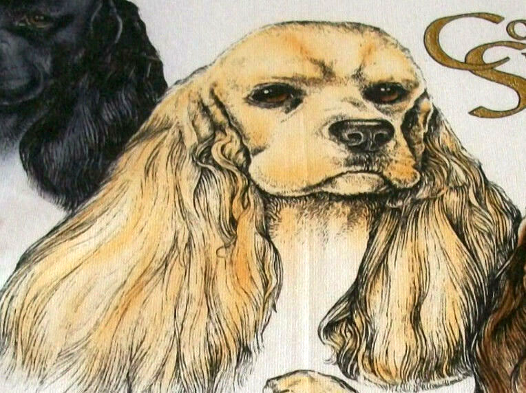 Cocker Spaniel* T-shirt MED 38/40 Ash | eBay