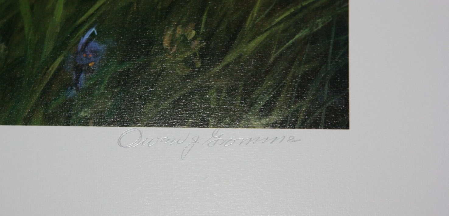 Owen Gromme Barn Owl Artist Signed Limited Edition Print 1980 87/850 | eBay