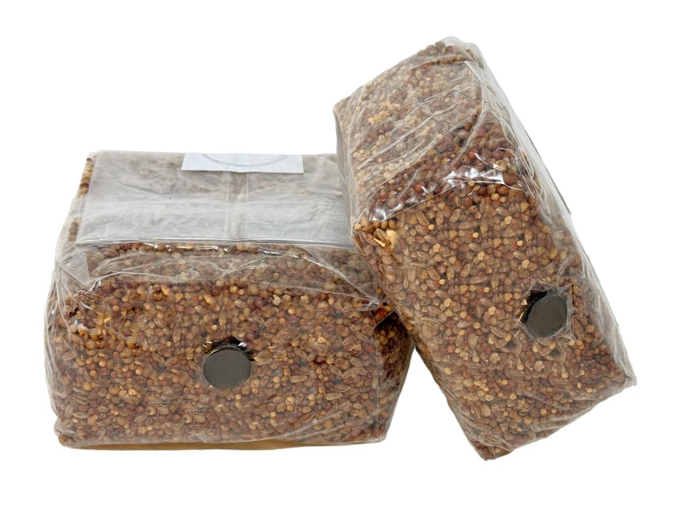 Premium 5-Grain Mushroom Spawn Bags | Sterilized Grain Bags | Injection ...