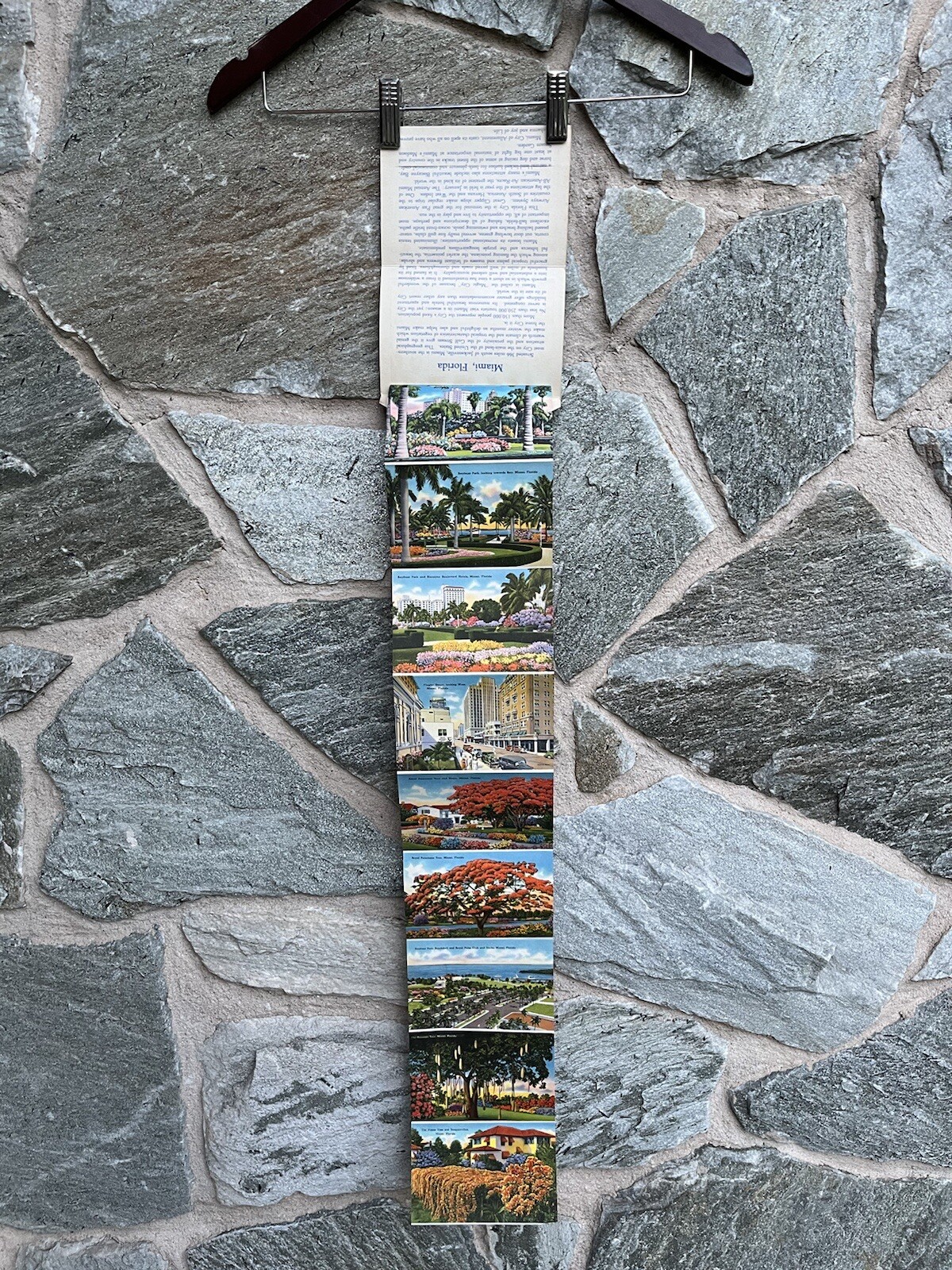 Vintage Mid Century Fold Out Postcard Souvenir / Miami, FL | eBay