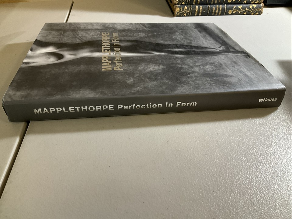 MAPPLETHORPE PERFECTION IN FORM - Photography - Hardcover - Good | eBay