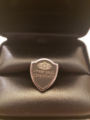 Amway Lapel Pin - Vintage American Way Sales Consistency Award Badge | eBay