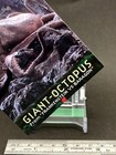 Giant-Octopus Godzilla / All of The Monsters Carddass 1st ED 17 Vintage ...