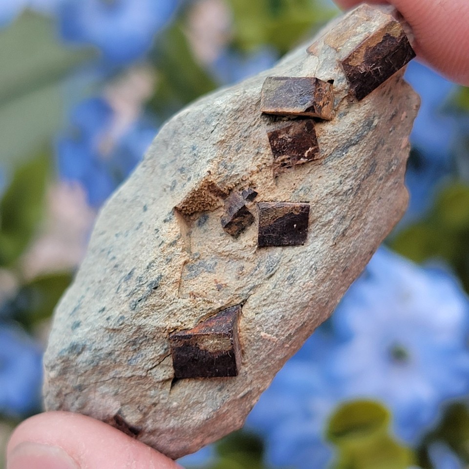 Limonite after Pyrite Cubes on Matrix Pseudomorph Mineral Specimen, 25 ...